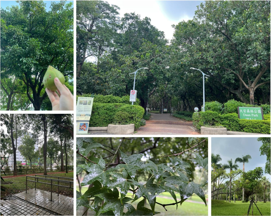 Self-caring as a Collaborative Project: A multimodal writing with more ...